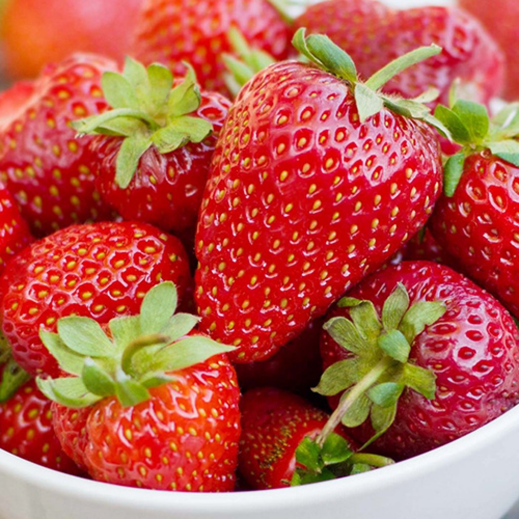 Home - The Strawberry Shop